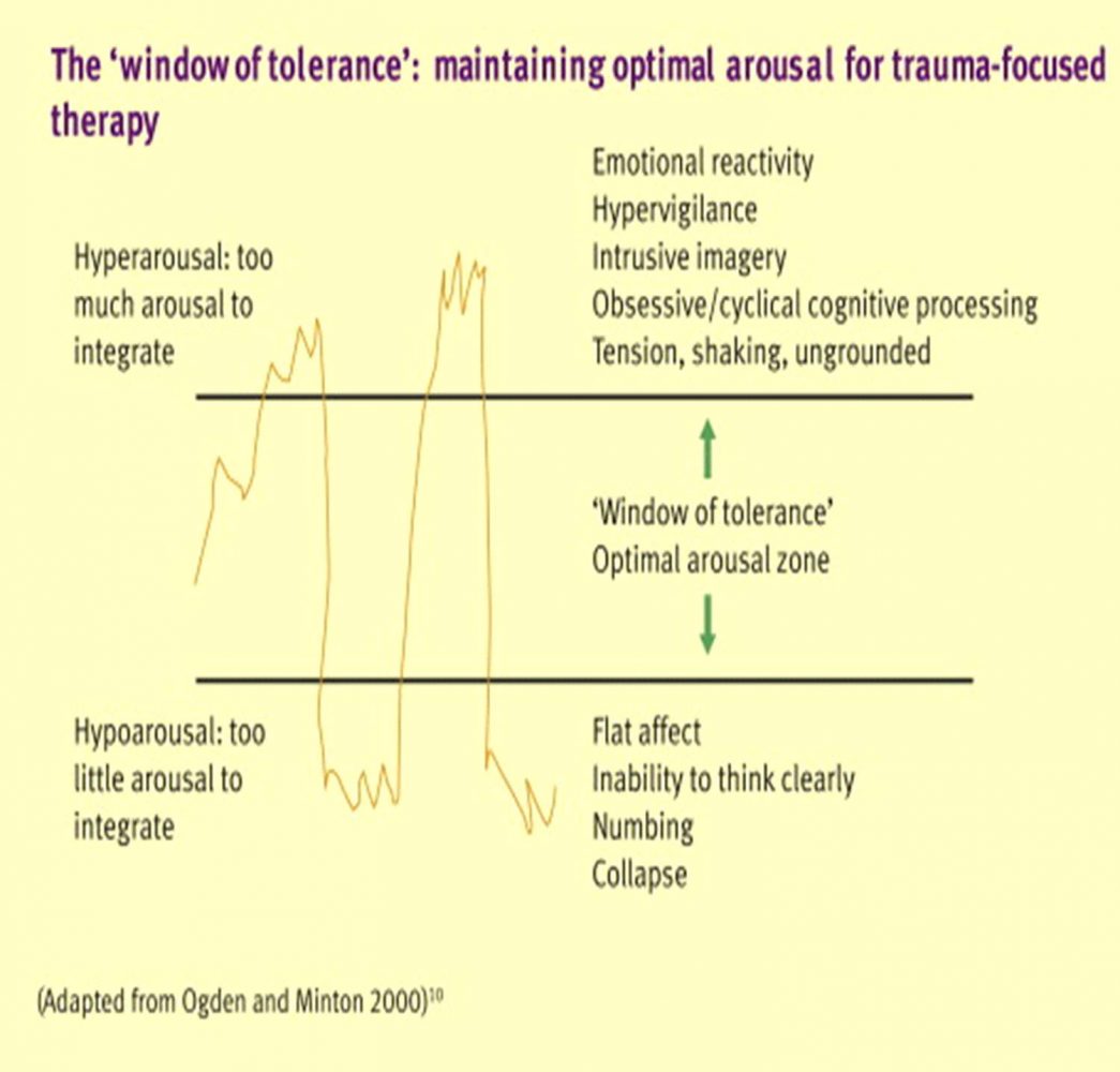 The Window of Tolerance | Regulating the nervous system | Body Alchemy